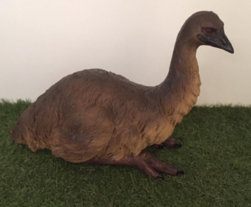 EMU LAYING DOWN STATUE – Pet Magic Cannington